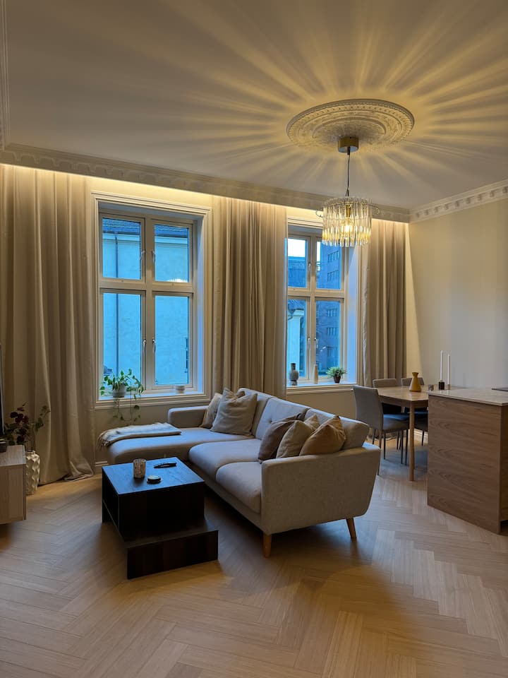Luxury Apartment In The Heart Of Oslo - Oslo