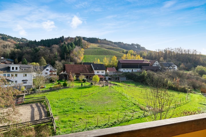 Haus Am Bächle - Oberkirch