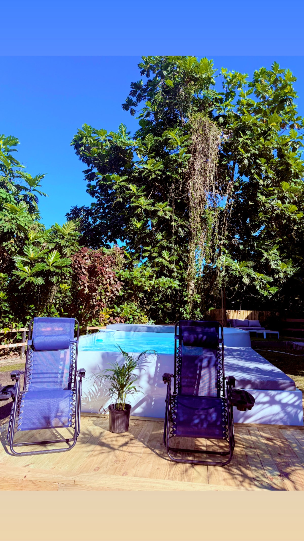 Farm stay in El Yunque - Houses for Rent in Río Grande, Río Grande ...