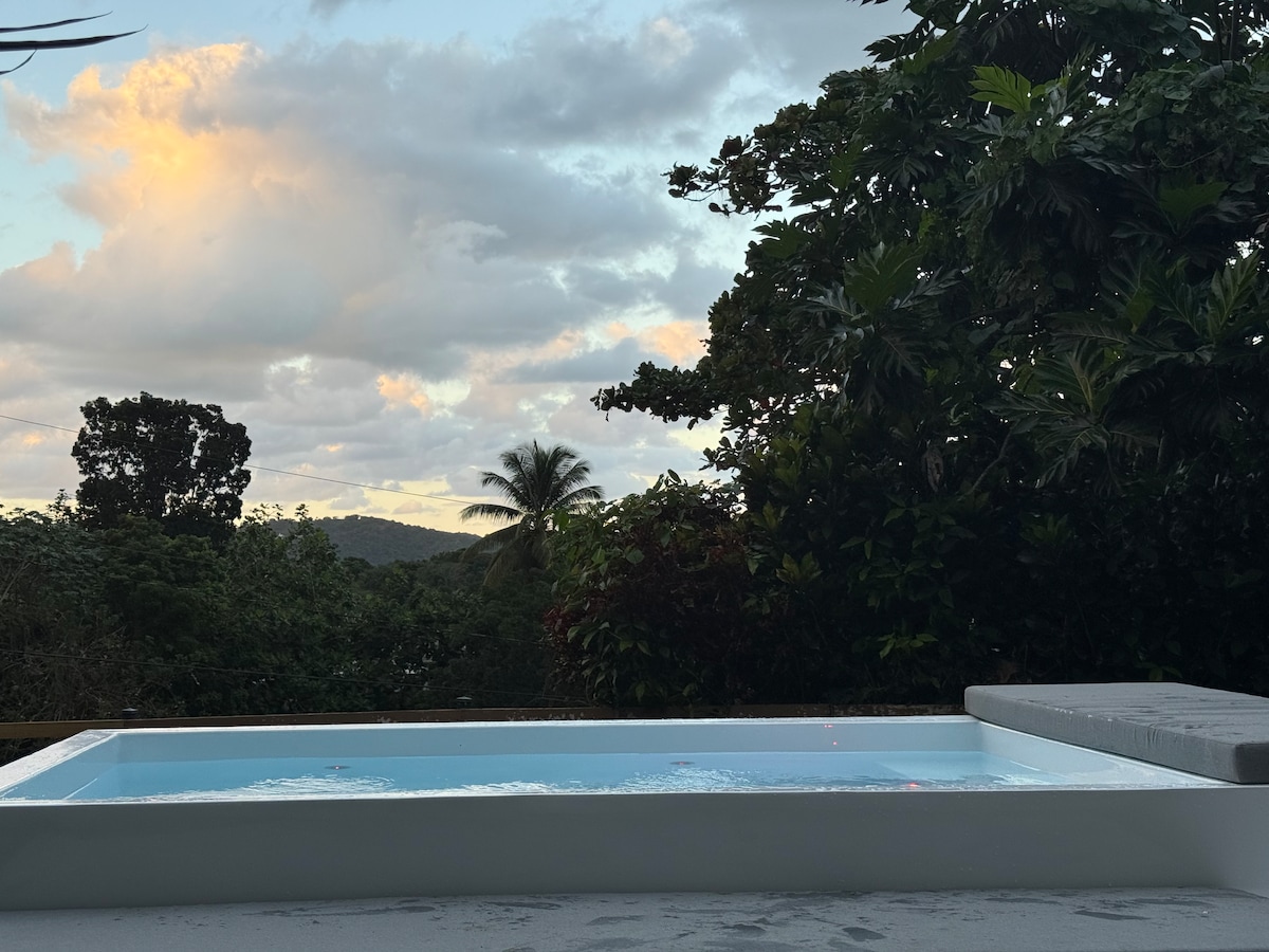 Farm stay in El Yunque - Houses for Rent in Río Grande, Río Grande ...