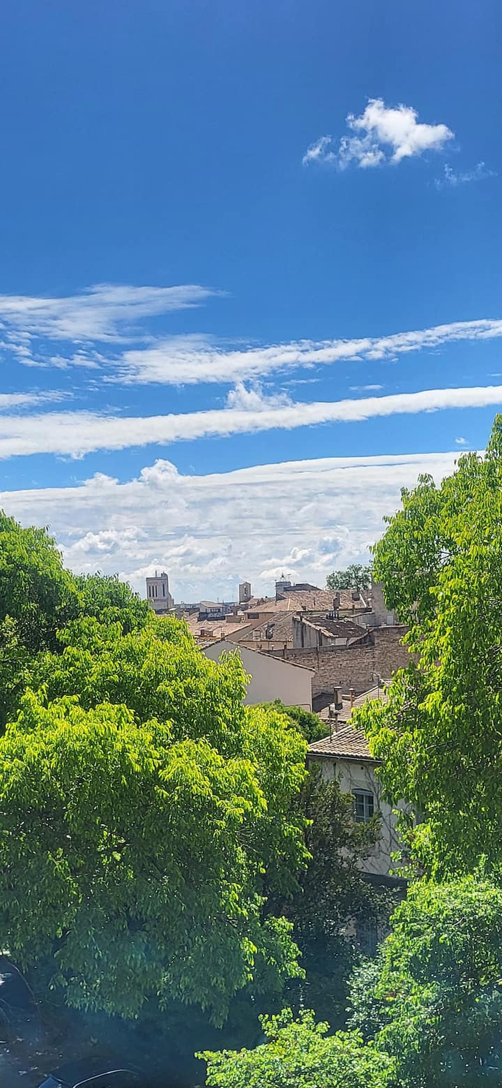Chambre Avec Salle De Bain Et Toilettes Privatives - Nîmes