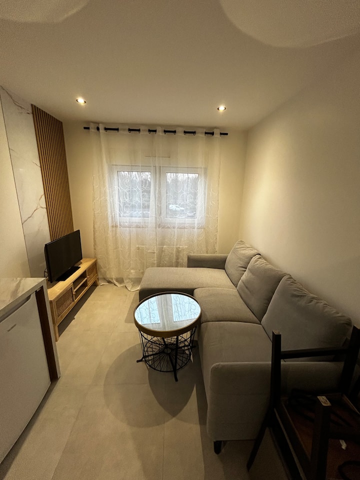 Appartement Fonctionnel Dans Une Résidence Privée - Faches-Thumesnil