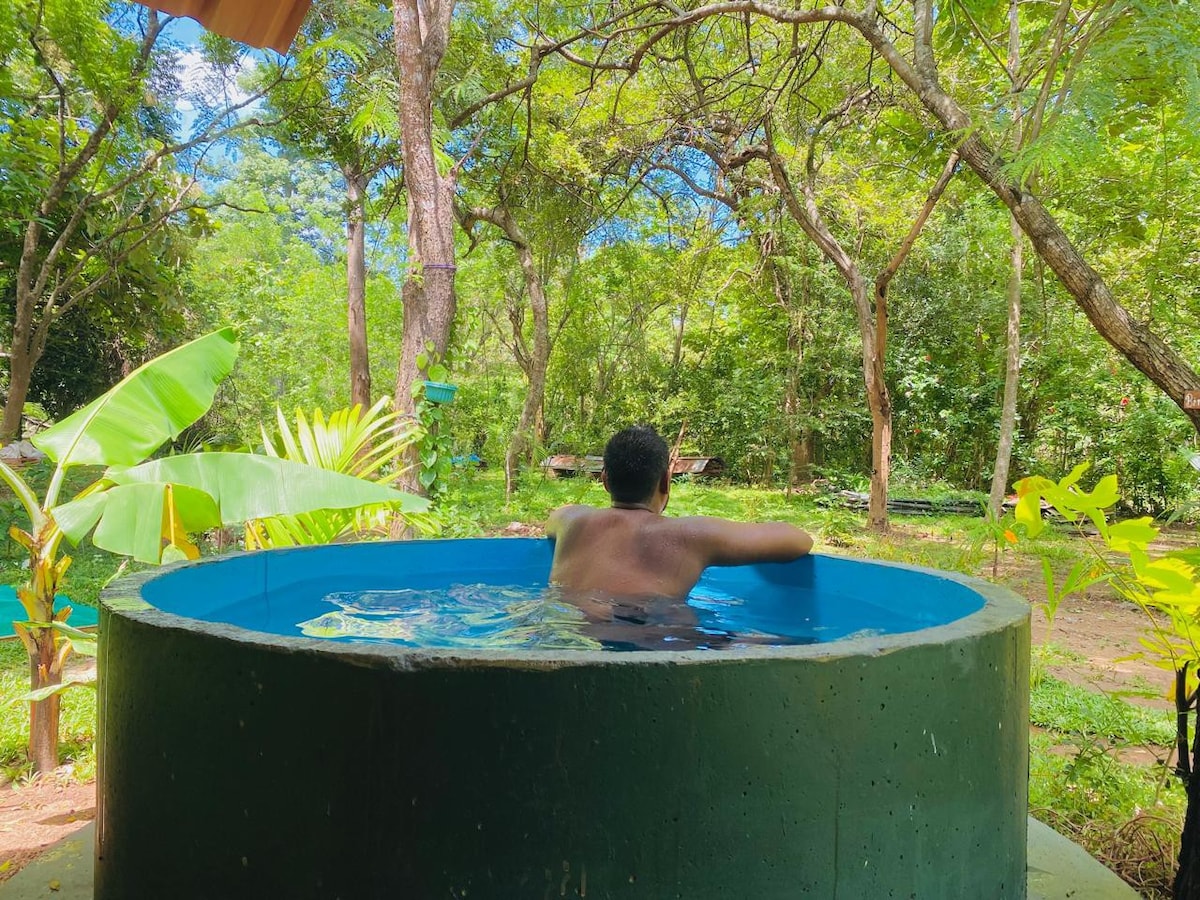 Chalet with Private Plunge Pool - Cabins for Rent in Sigiriya, Central ...