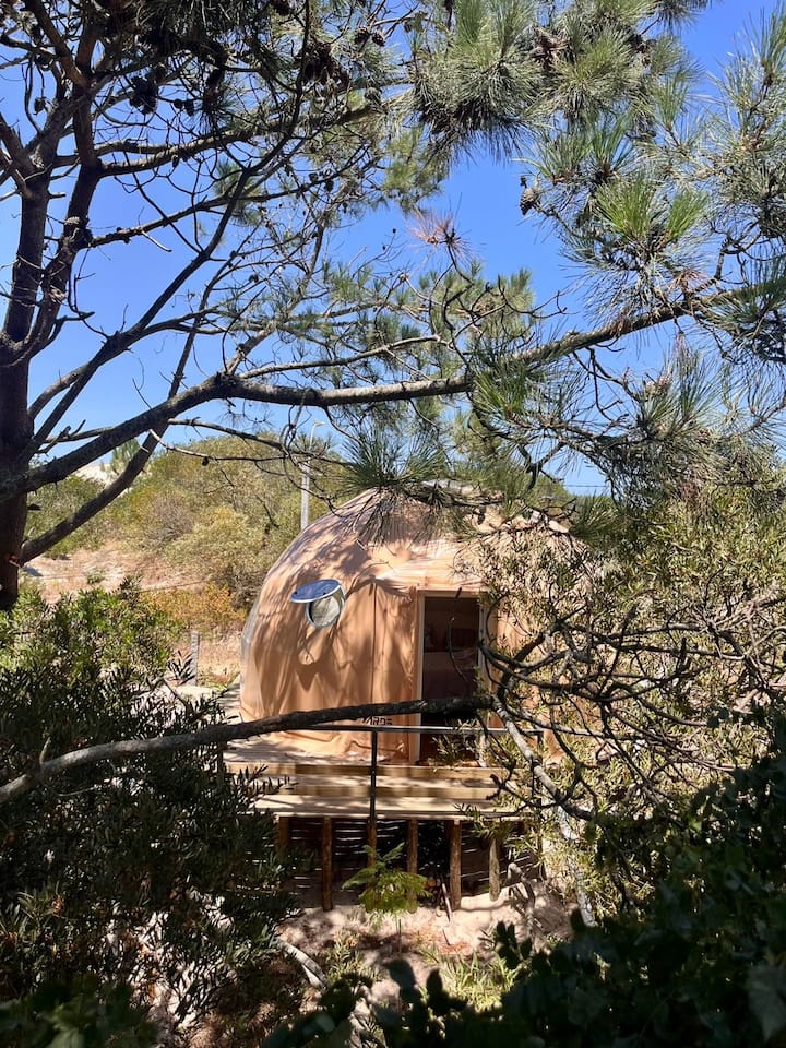 Domo Pinar - Uruguay