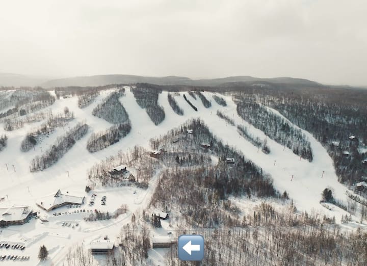 Cozy Ski Lodge: Sauna & Games - Schnickelfritz #4 - Michigan