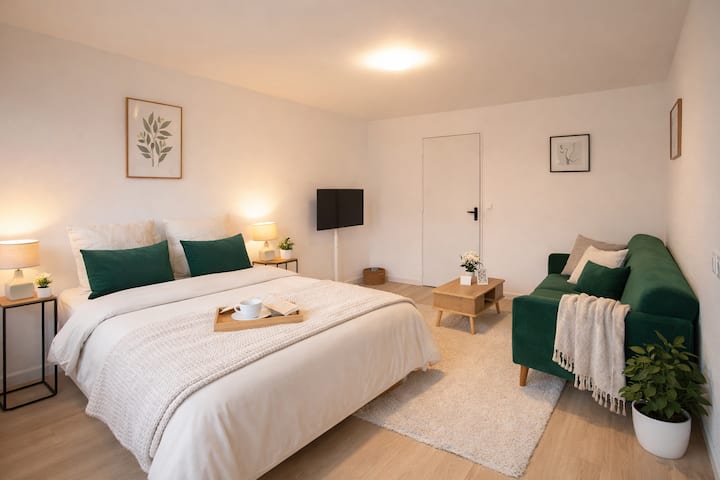 Grand Studio Rénové Au Pied Du Métro+ Parking Free - Lille