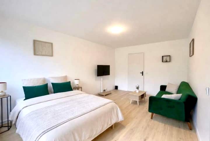 Grand Studio Rénové à 20 M Du Métro + Parking - Lille