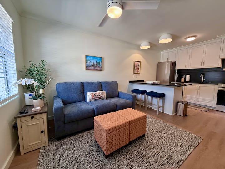 Charming, Newly Renovated Condo In Downtown Auburn - Auburn, AL