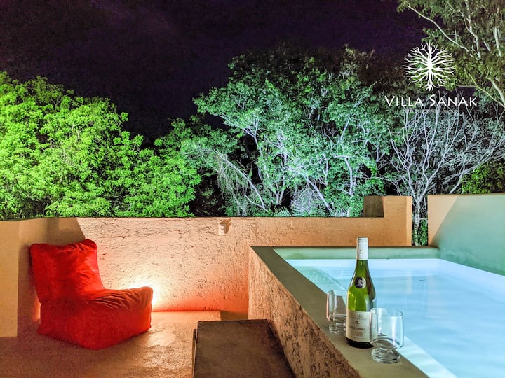 Sanak, Peaceful Villa With Private Pool On Rooftop - Playa del Carmen