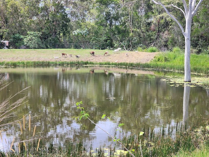 Welcome To Our Farmstay Country Off-grid Living - Caboolture