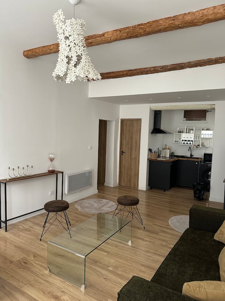 Carpentras Appartement Dans Le Centre Historique - Carpentras