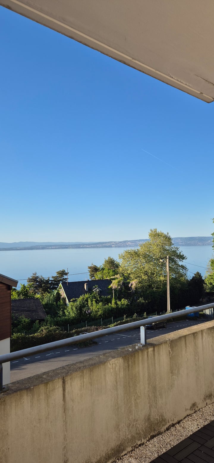 Appartement T2 Lac Léman - Lake Geneva