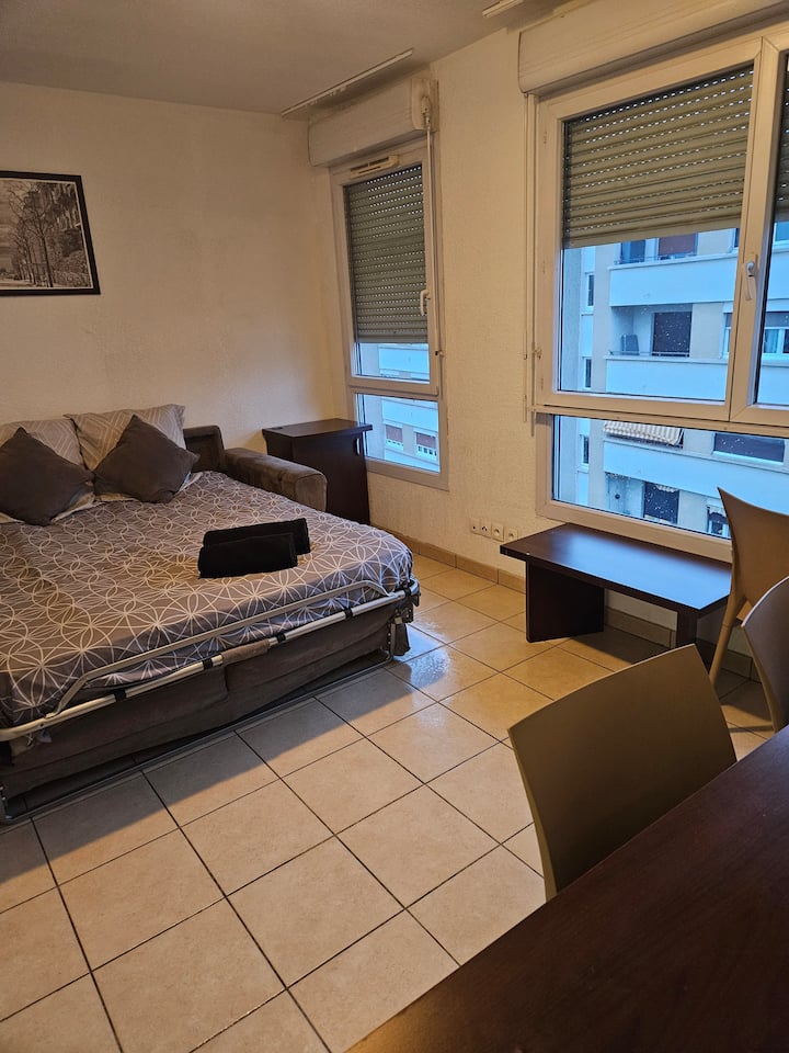 Studio Lumineux Et Bien Situé ! - Annemasse