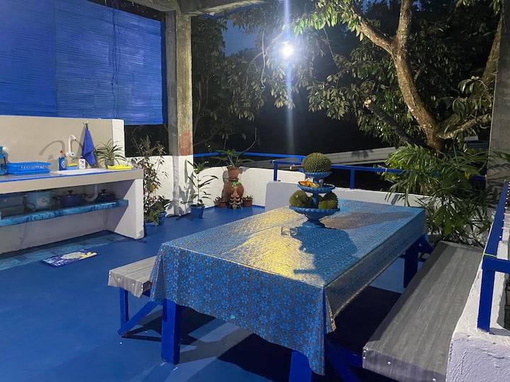 Welcome To My Blue House - 