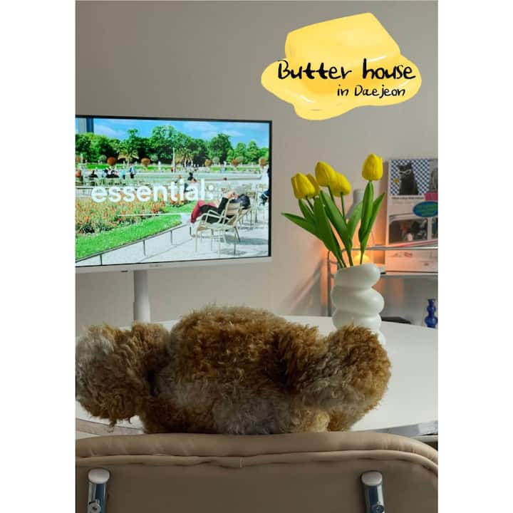 버터하우스/프리미엄숙소/성심당본점/대흥동/은행동/중앙로역도보5분/공영주차장/ott - Daejeon