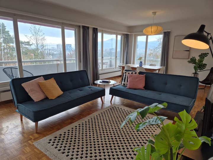 Light Filled Apartment With Zurich Views Lim 12 - Kanton Zürich