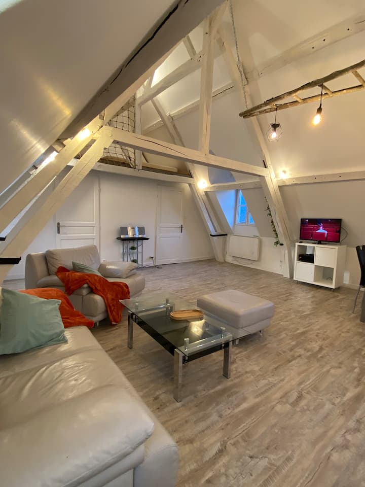 Sous Les Toits Des Jacobins – 3 Ch, Wi-fi - Amiens