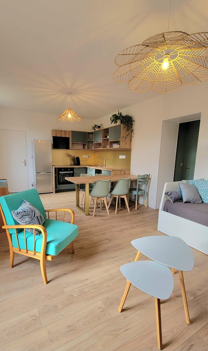 Appartement Lumineux Rénové, Jardin Et Parking - Romans-sur-Isère