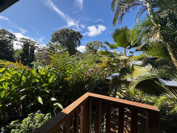 Bungalow Dans Un Jardin Tropical - Guadeloupe