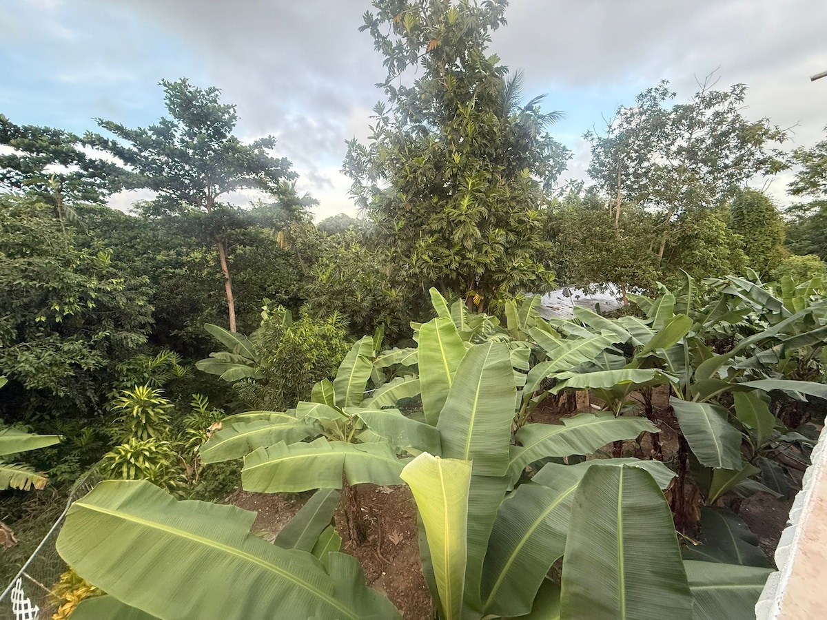 Angie Mar - Houses for Rent in Ceiba, Ceiba, Puerto Rico - Airbnb