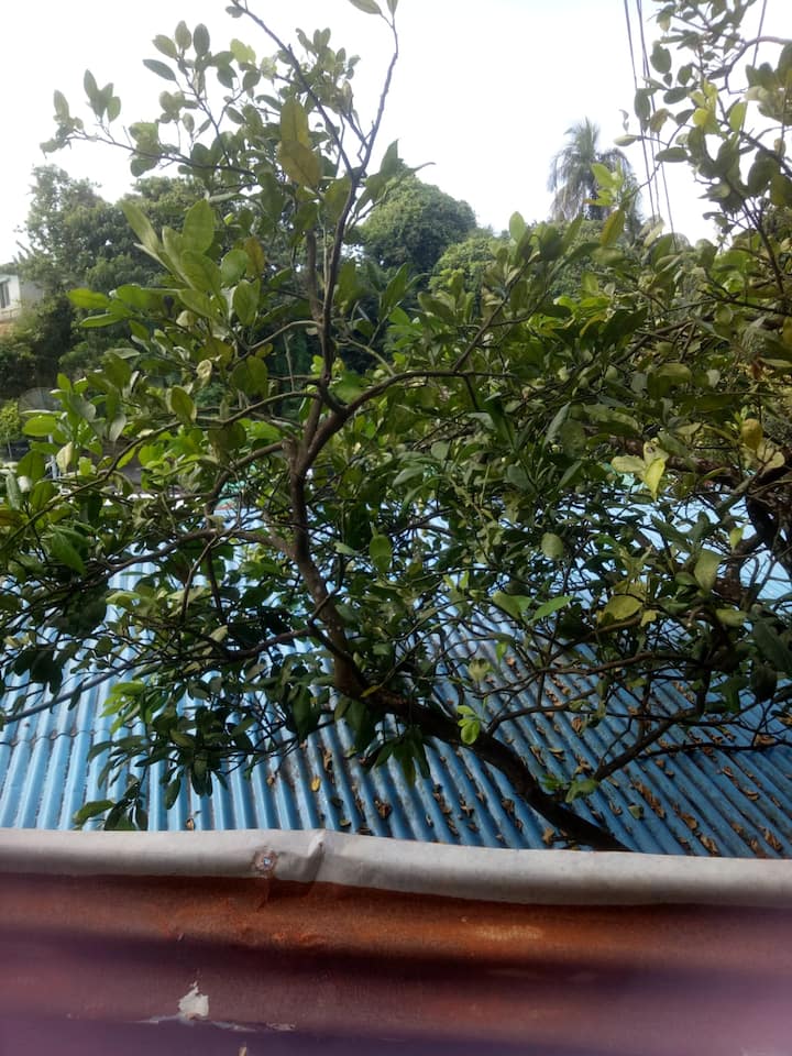 Beachside Tiny House Room, Local Family Hosting - 孟加拉