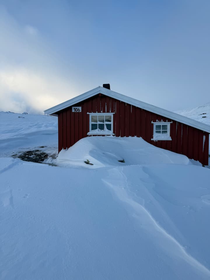 Sjarmerende Fjellhytte - Norway
