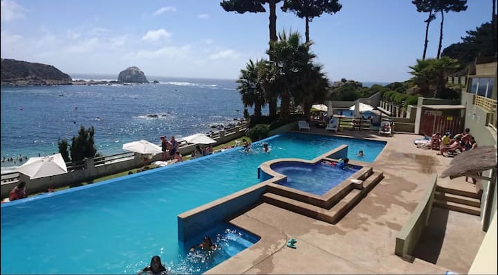 Pinares Del Canelillo, Amplio Departamento - Chile