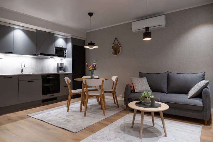 High Standard City Center Appartment 3 - Saarijärvi