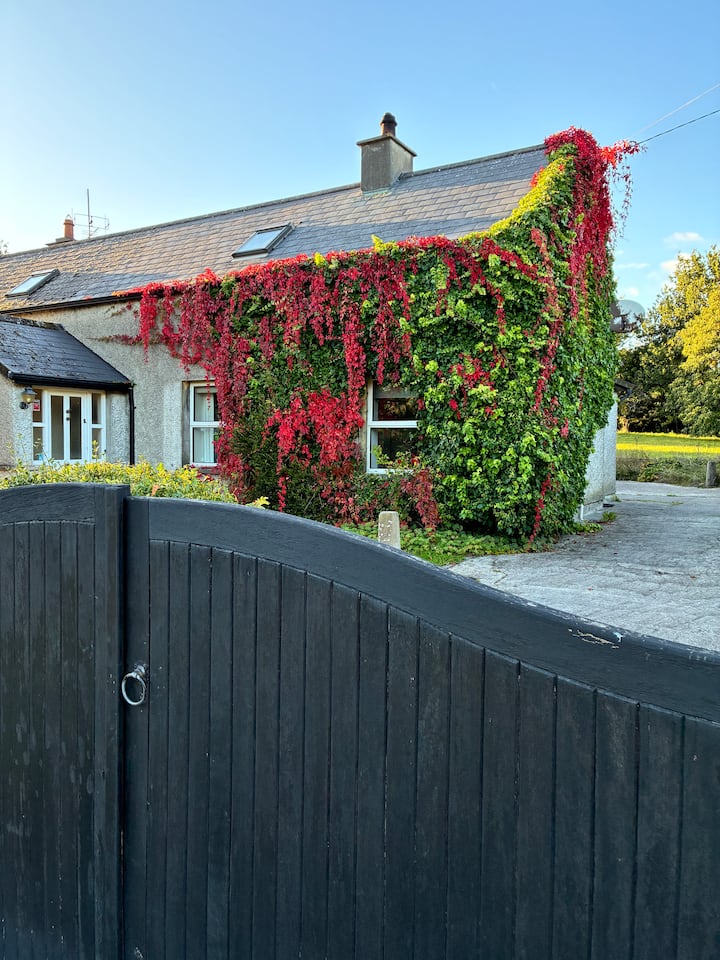 Countryside Stay In Charming Cottage. - Kilkenny