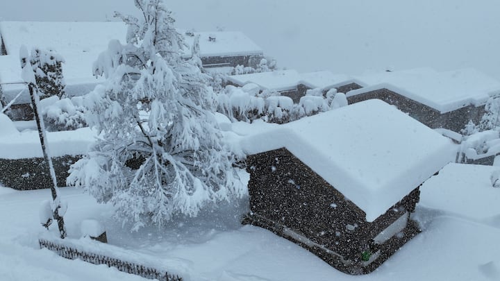 Petit Studio. - Vercorin