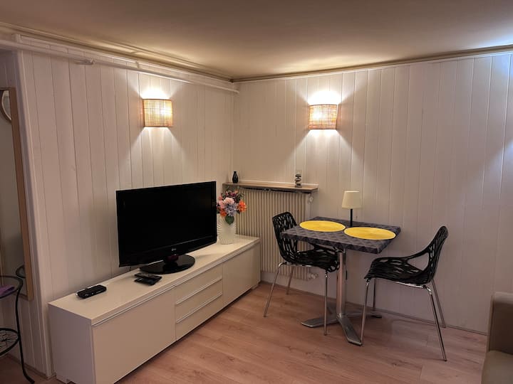 Loue Studio Meublé - Faverges