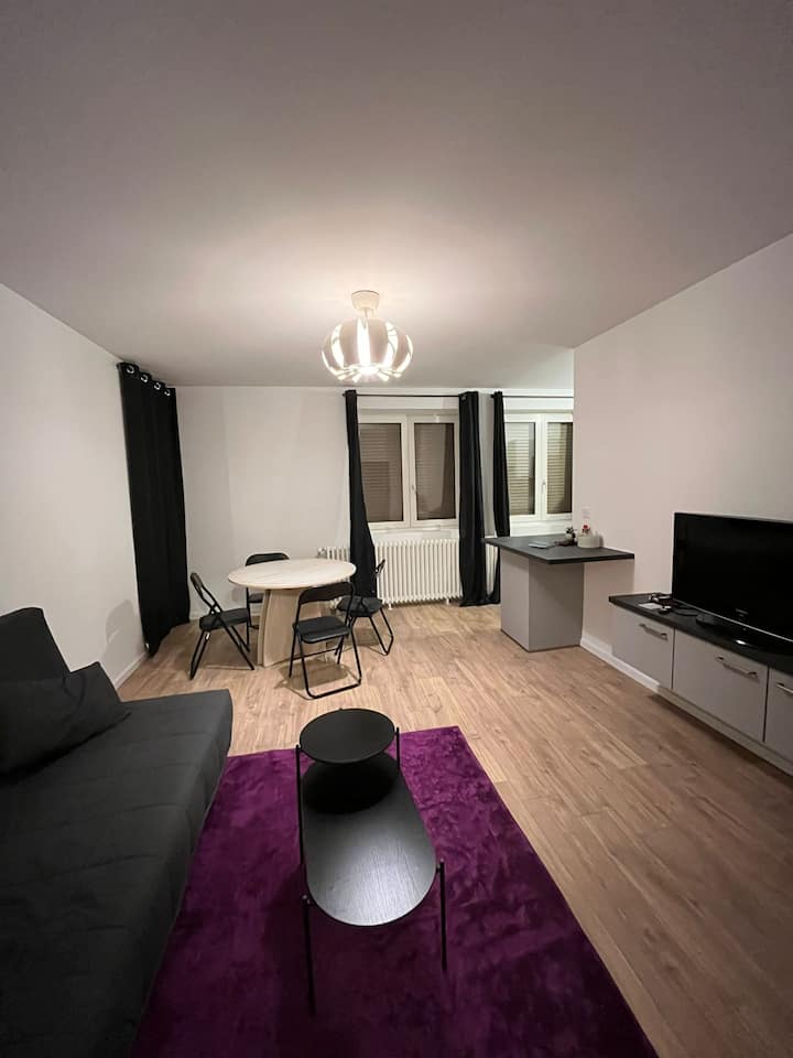 Appartement - ibis Mulhouse Ile Napoleon