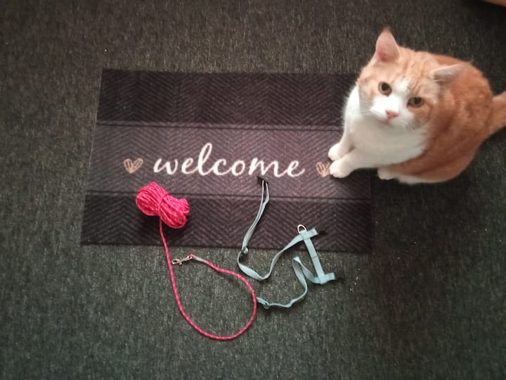 Fewo Punktet Mit Ländlichem Charme - Wismar