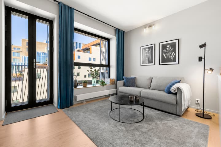 Central Apartment In Oslo Centre With Stunningview - Oslo