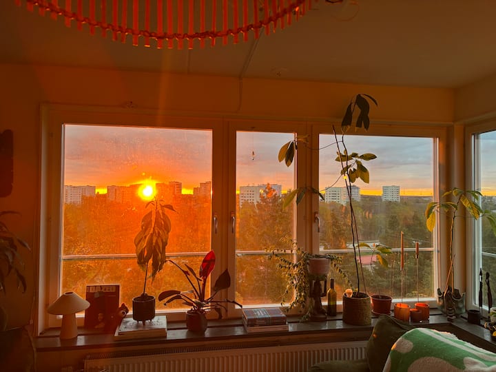 The Avocado - Stockholm