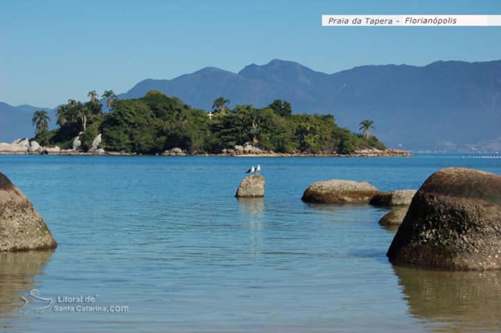 Loft Aconchegante\próx Ao Aero/5 Min A Pé Da Praia - Florianópolis