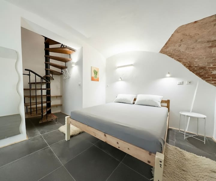 Accademia Militare A 1 Passo • Palazzo Ducale - モデナ