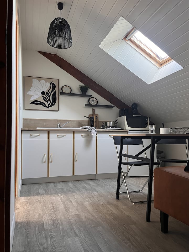 La Renazaie_appartement éTage - Château de Craon