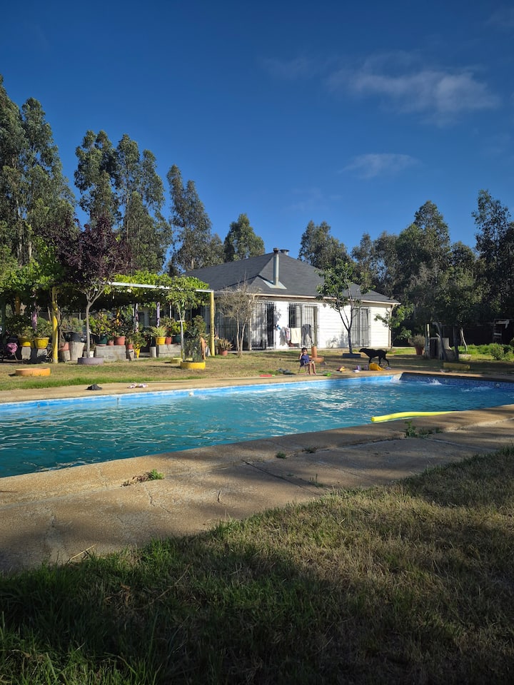 Parcela El Totoral 
Piscina - El Tabo