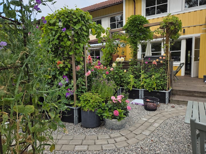 Rashus I Boo - Vaxholm