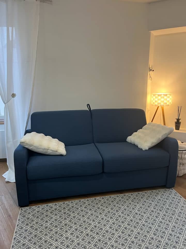 Idéal Déplacement Pro – Cosy, Wifi & Parking - Romilly-sur-Seine