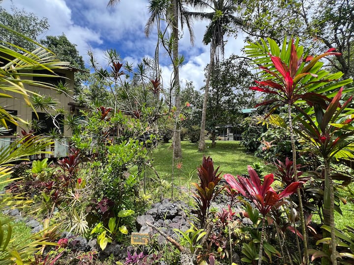 Joined In The Jungle! Perfect Large Party Spot! - Hawaï