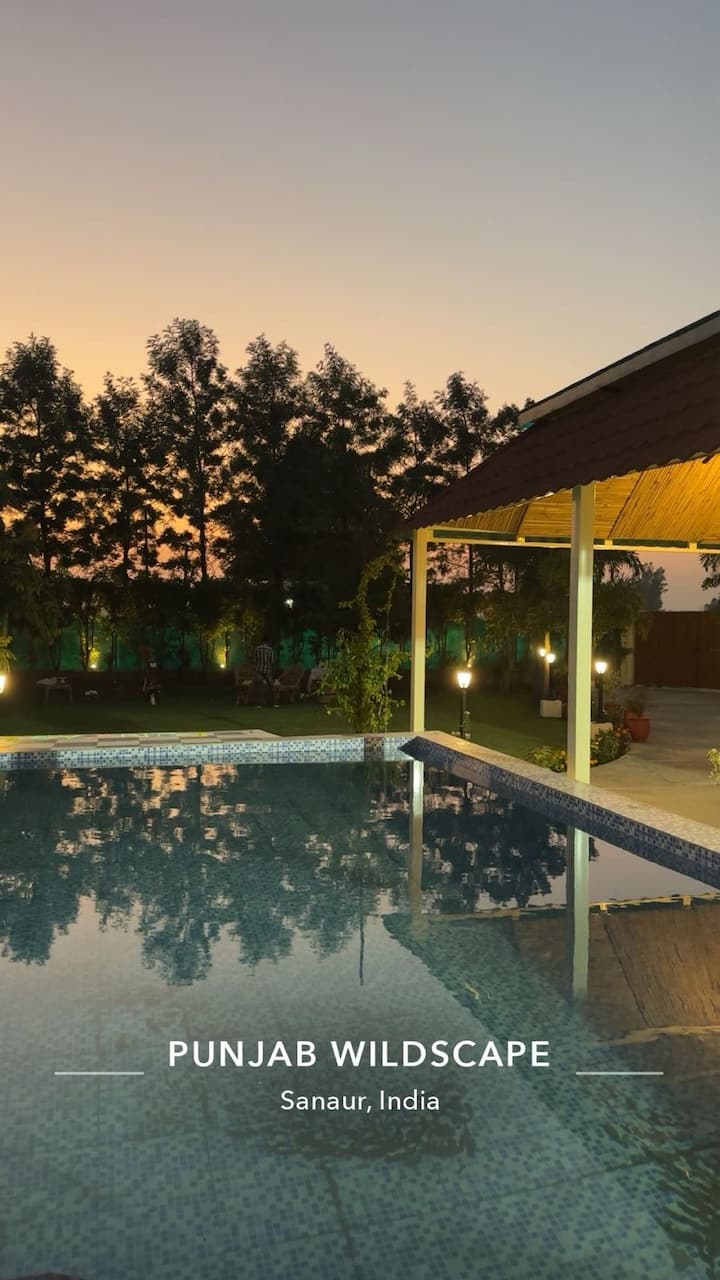 A Wild Escape Near Patiala. - Patiala