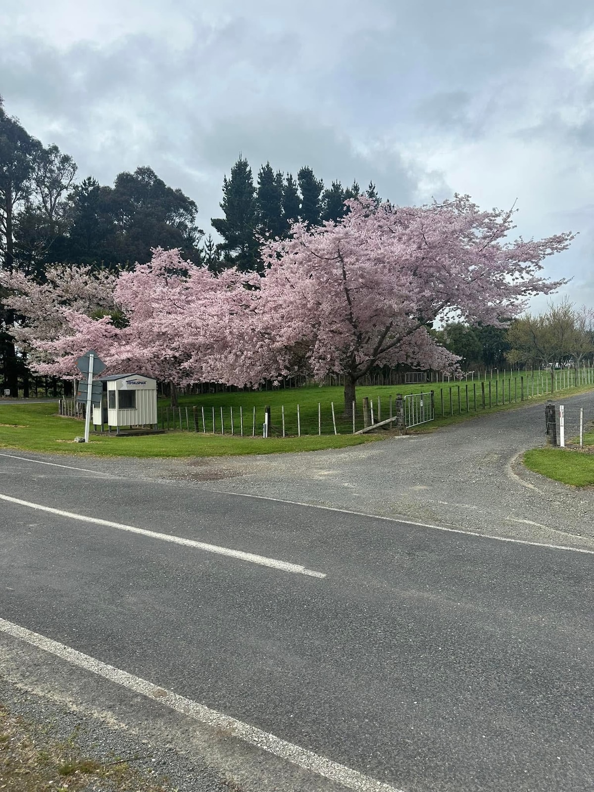 Cottage rustique à Rotorua - Cabanes à louer à Horohoro, Waikato Region ...