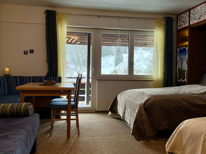 Appartement Am Feldberg - Feldberg