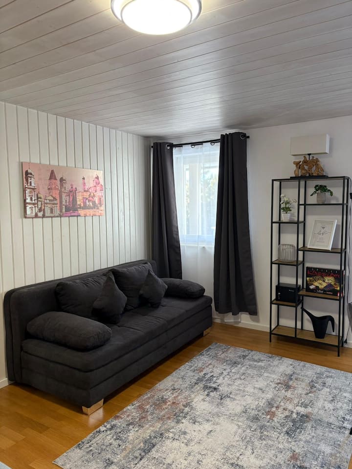 Danube Rooms Abteistr. - Self Checkin - Apartment1 - パッサウ