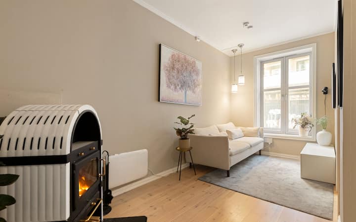 2 Soverom, Peis Og Vaskemaskin – Super Sentralt! - Oslo