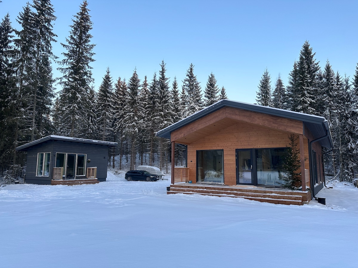Villa Pajusaari – Villa de madera moderna junto al lago - Casas de ...