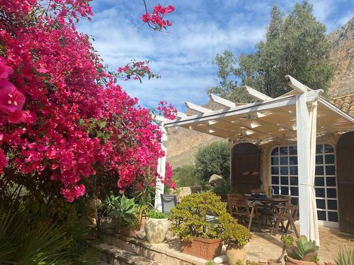 Magical Sea View Sunset Scenes - Valderice