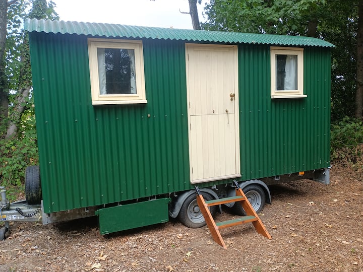 Shepherds Lake Camp - 靈伍德